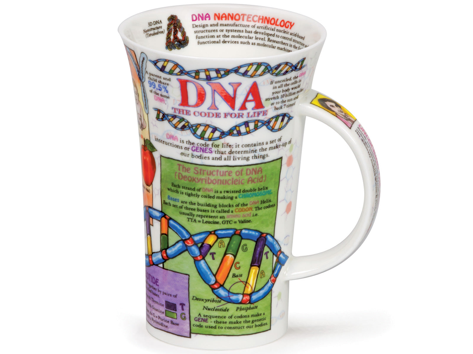 Dunoon Glencoe DNA Mug – themugcompany.co.uk