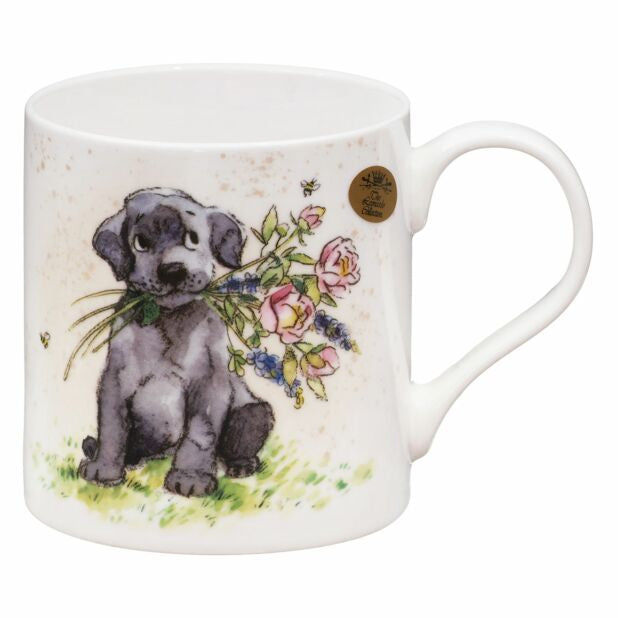 Paper Shed Designs – themugcompany.co.uk